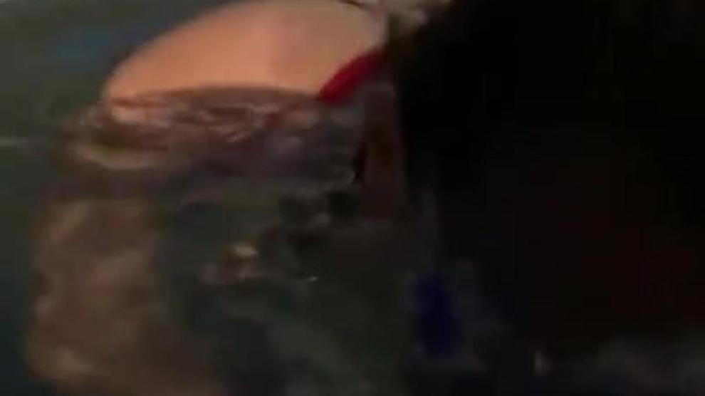The Real Scuba Steve Porn Videos