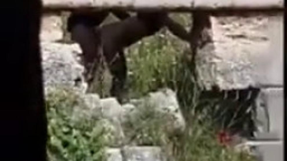 Greek Gamisi Rodos Kastro Public Sex Rodos Porn Videos