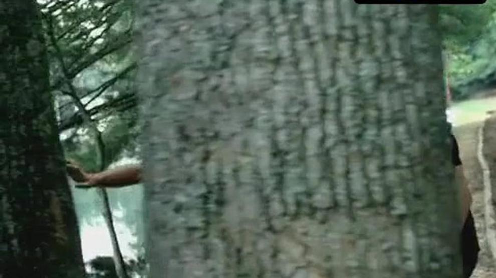 Jaime King Sexy Scene In Happy Campers Porn Videos