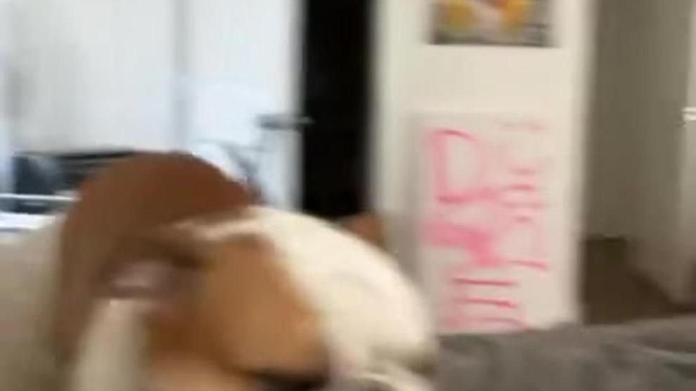 Furry Porn On Tik Tok Porn Videos