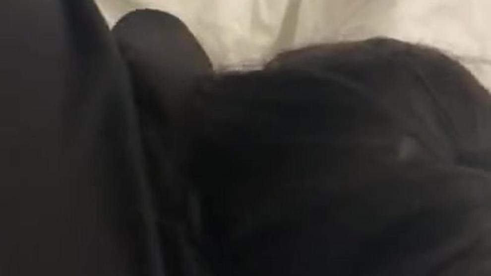 Quickie With Latina After The Gym Porn Videos