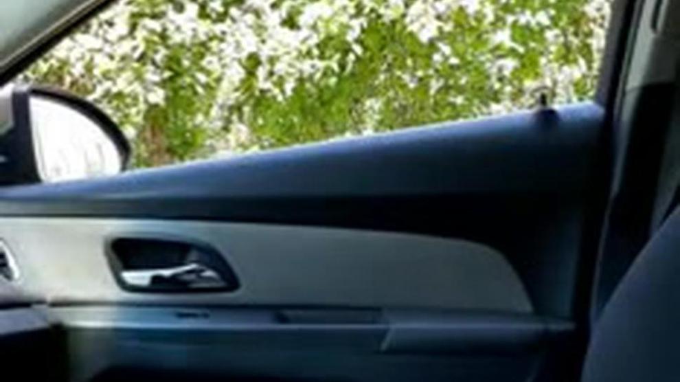 Car Flash Porn Videos