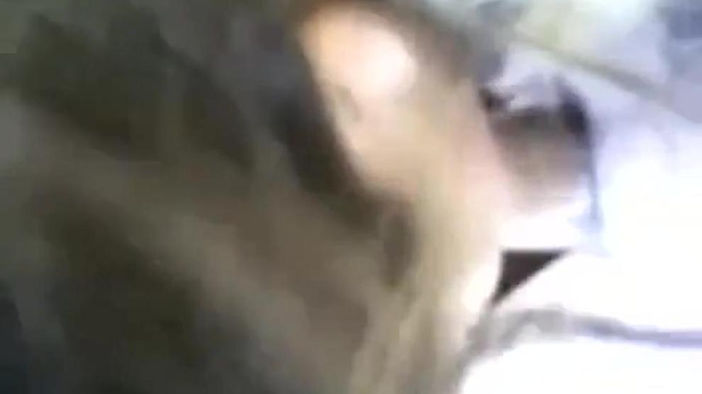 Tunisian Sex Porn Videos