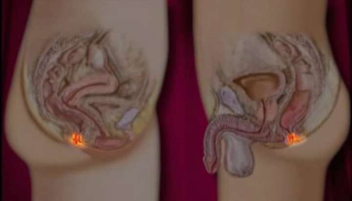 Better Sex Guide To Anal Pleasure Pt 2 Tnaflix Porn Videos